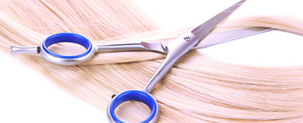 Hair Scissors – Princess Care